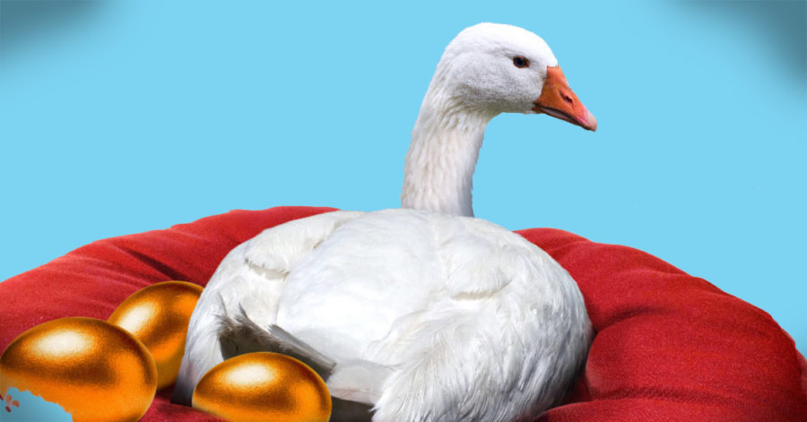 DI Coverage: Insuring The ‘Golden Goose’ - Insurance News ...