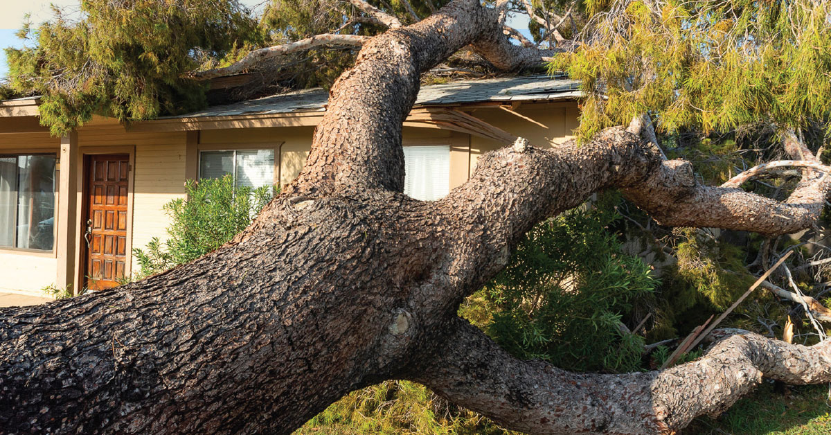 How to expedite claims after a catastrophe - Insurance News ...