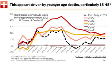 ‘Excess mortality’ continuing surge causes concerns - Insurance News ...