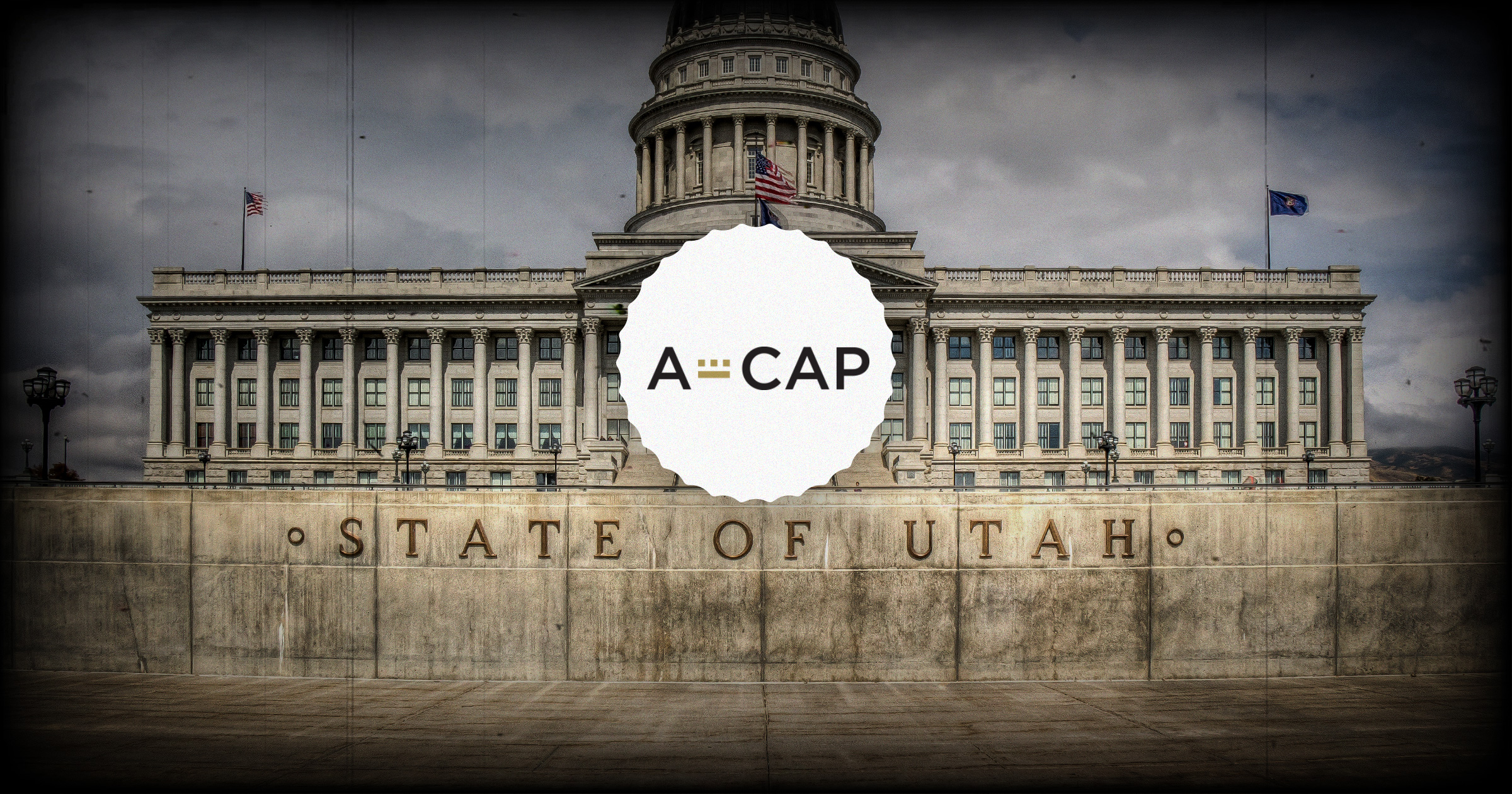 A-Cap suspends Sentinel Security Life business; gets reprieve for ...